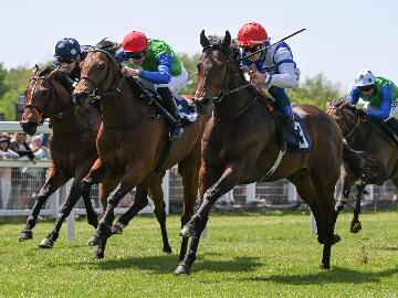 Royal Windsor Racecourse