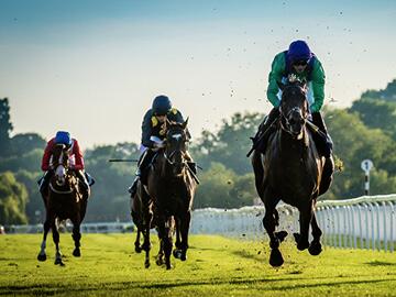 Royal Windsor Racecourse