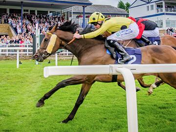 Royal Windsor Racecourse
