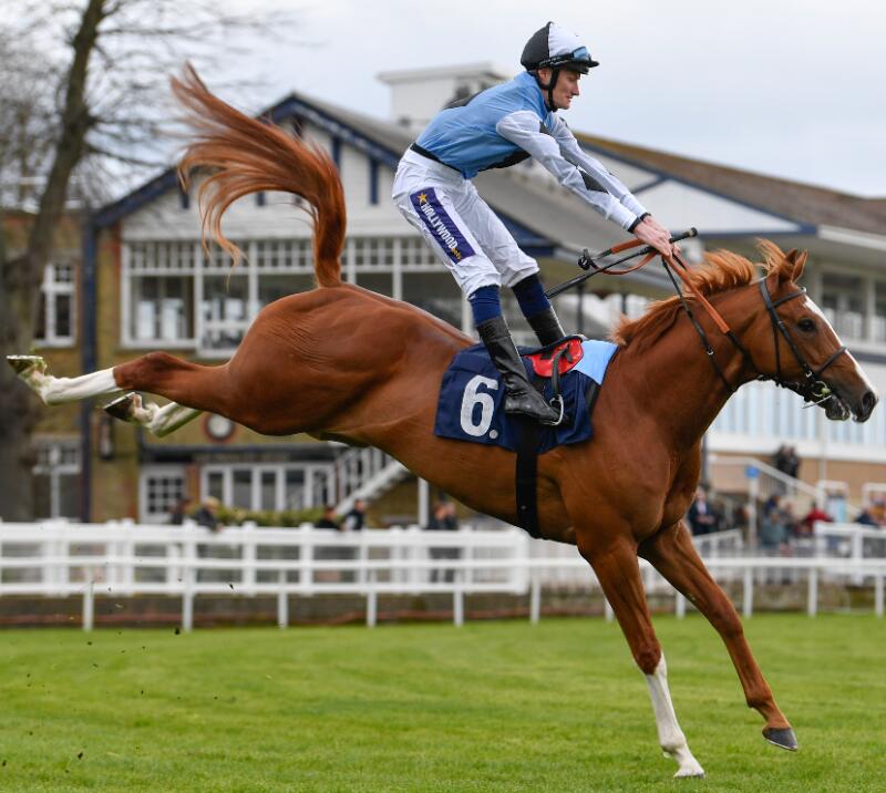 Christmas Parties | Venue Hire | Royal Windsor Racecourse