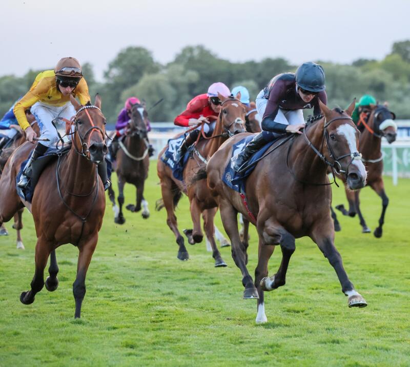 Feature Races | Racing Highlights | Royal Windsor Racecourse