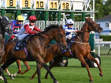 Windsor Racecourse Hospitality | Royal Windsor Racecourse