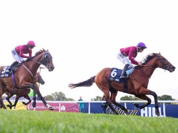 Royal Windsor Racecourse | Windsor Races