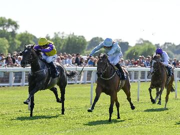 Royal Windsor Racecourse