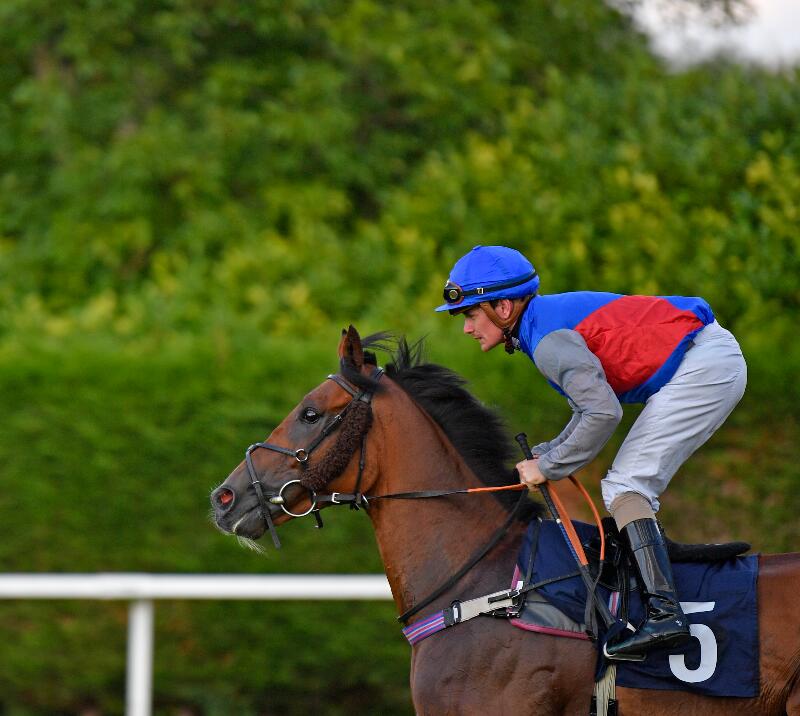 Annual Membership | Royal Windsor Racecourse