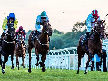 Royal Windsor Racecourse | Windsor Races