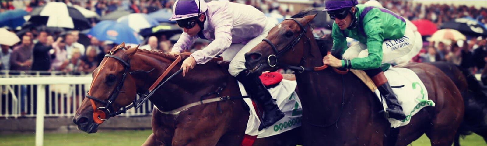 History | Windsor Racecourse | Royal Windsor Racecourse